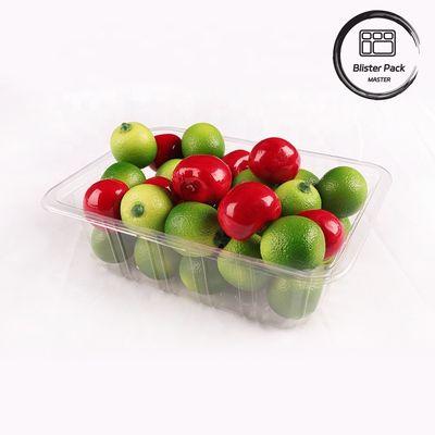Disposable Fruit Tray factory, Buy good quality Disposable Fruit Tray ...